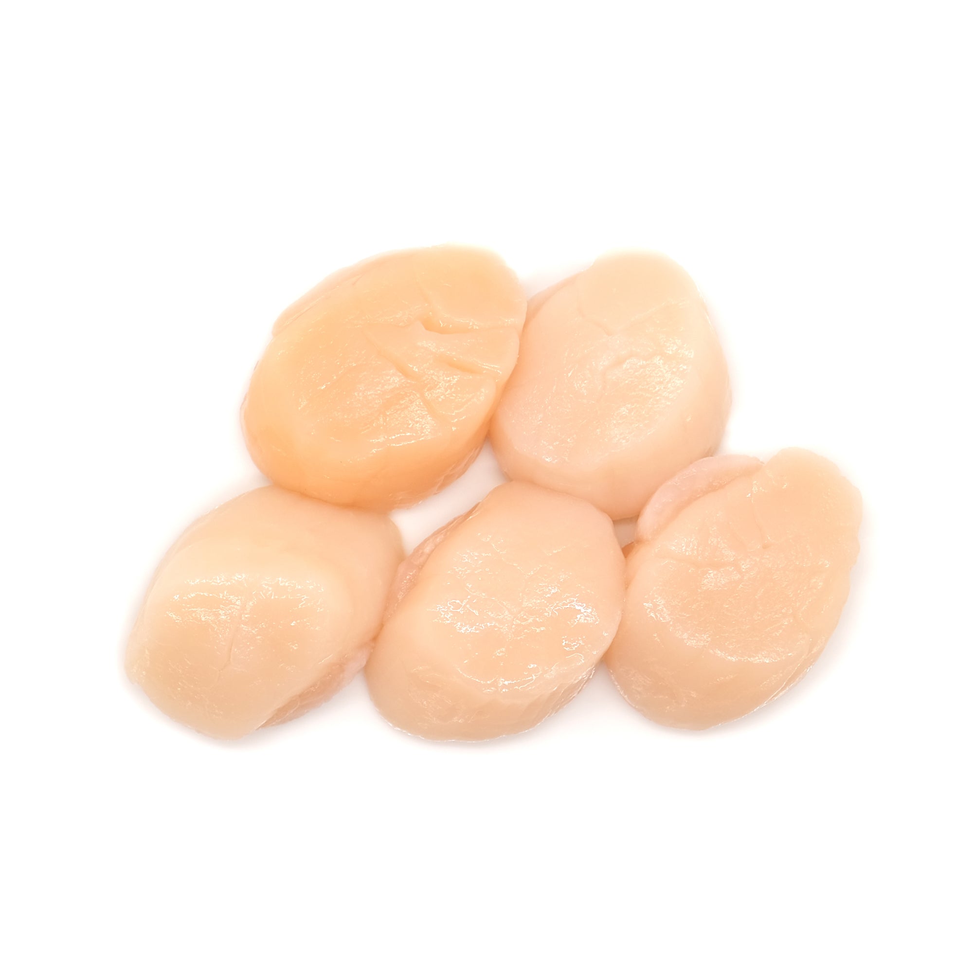Sashimi Grade Hokkaido Scallops (2S) – Serenity Seafood, Inc.